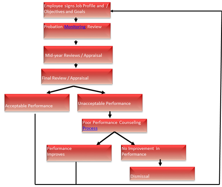 Performance management cycle - Skill Centre
